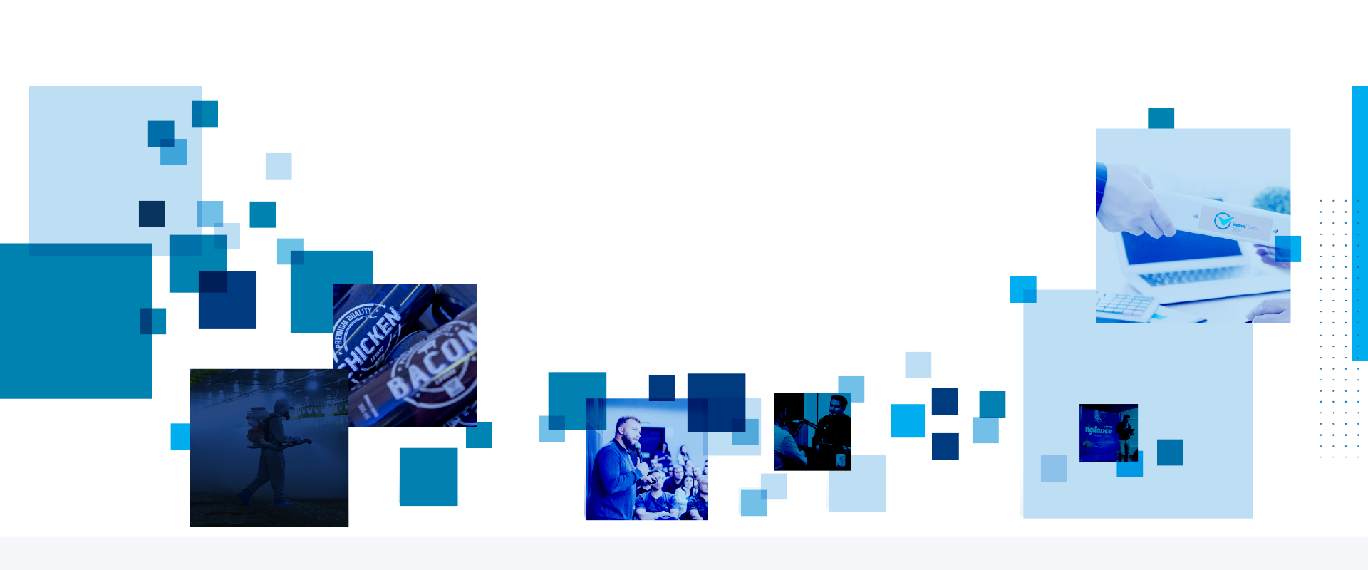 Programas - Vetanco Brasil