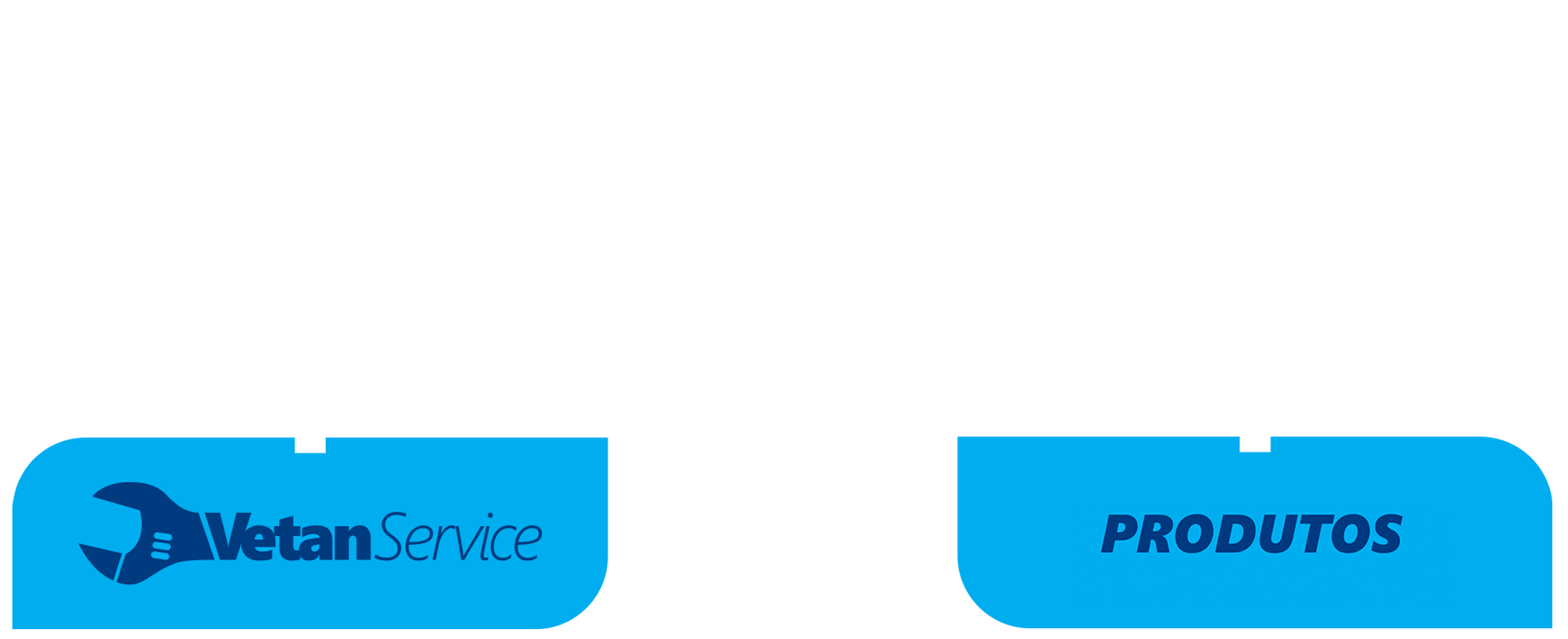 Programas - Vetanco Brasil
