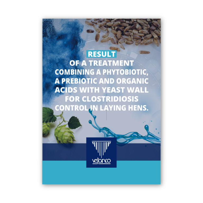 Result of a treatment combining a phytobiotic, a prebiotic and organic ...