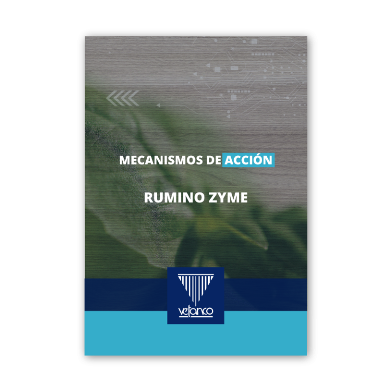 Mecanismos de acción de Rumino-Zyme - Vetanco Argentina