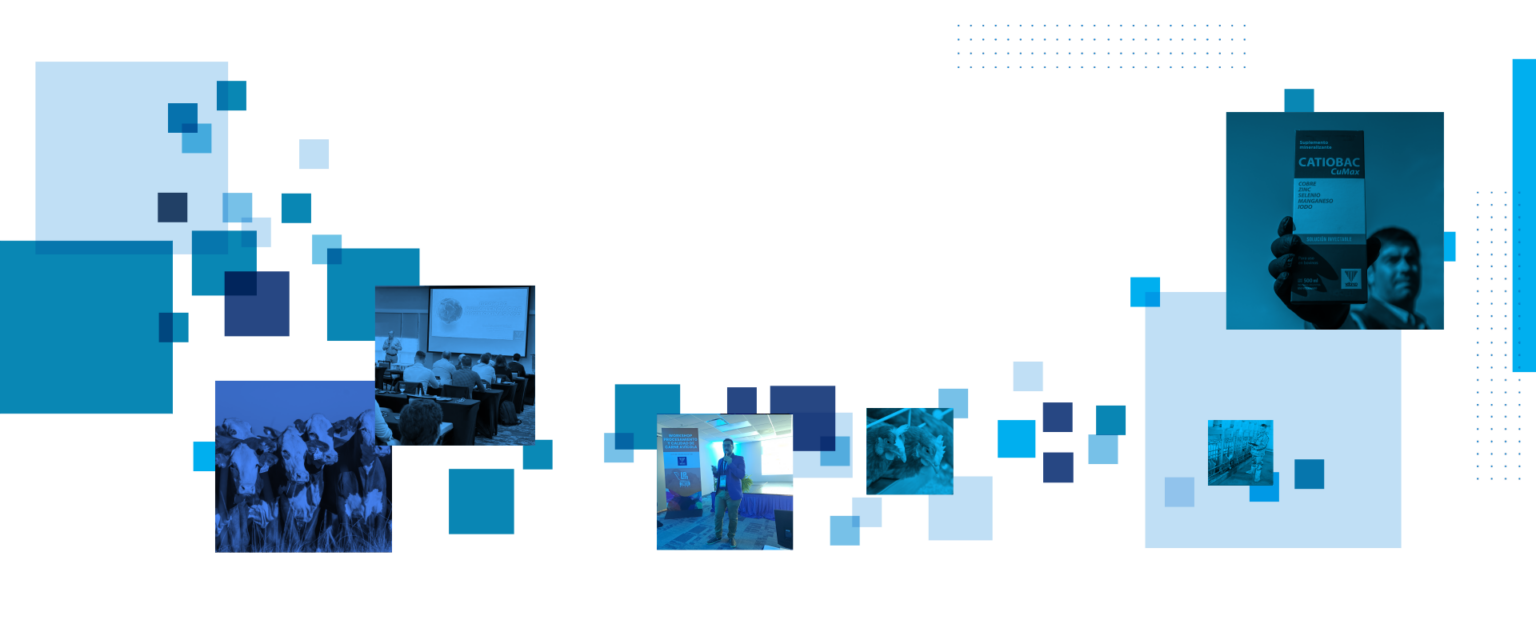 Artículos - Vetanco Argentina